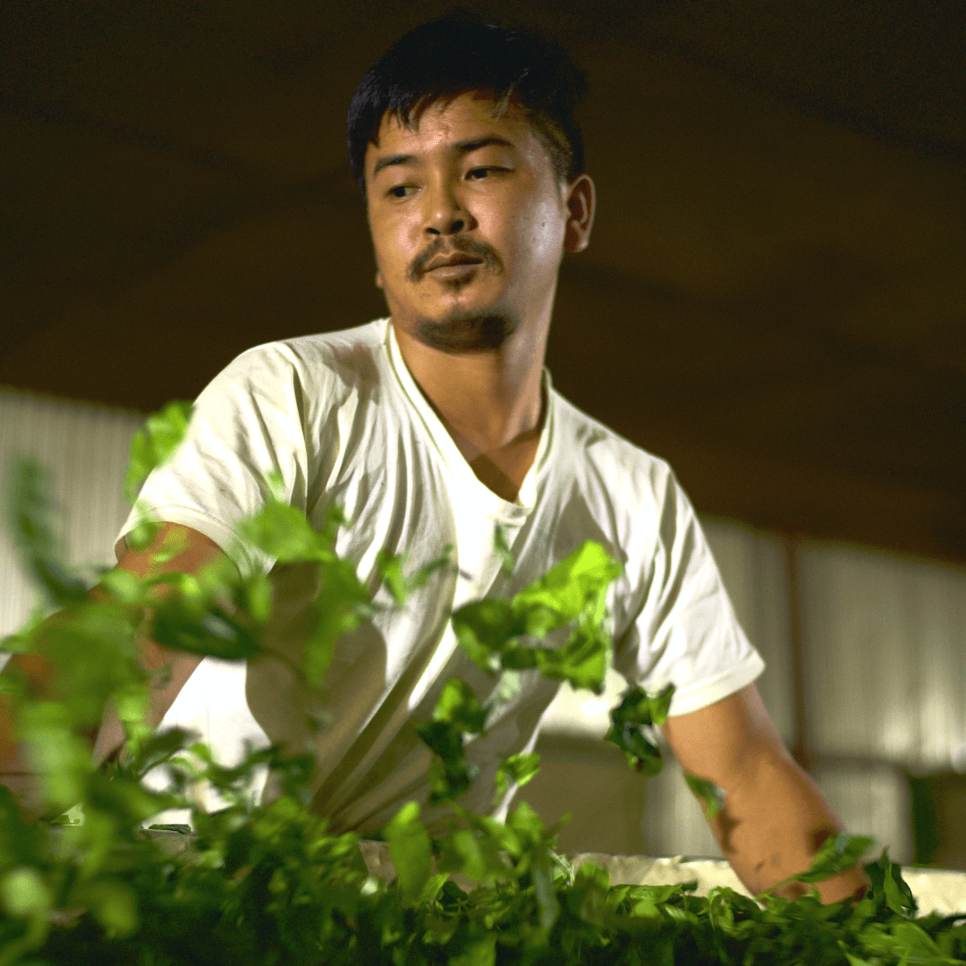Conversation with the youngest tea maker of Nepal: Nikesh Gurung ...