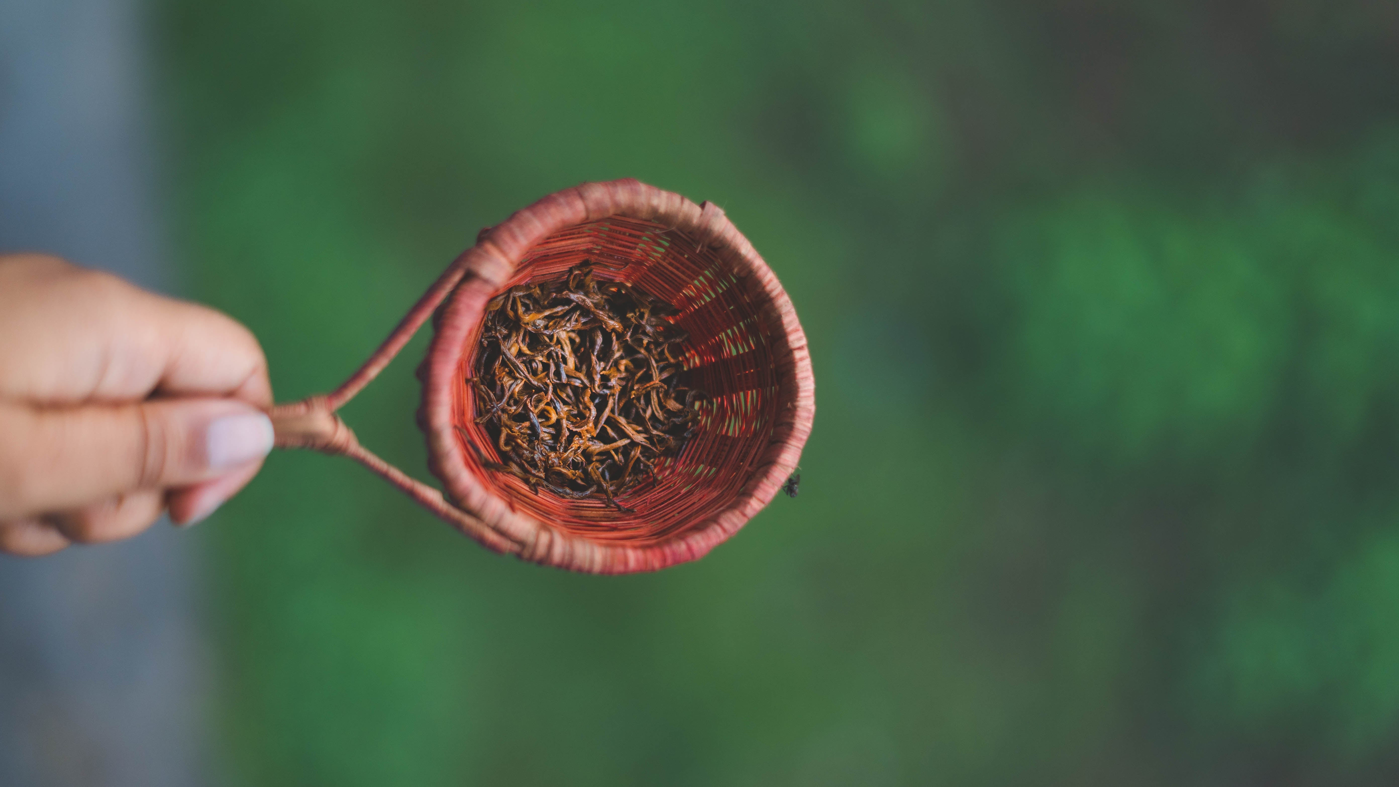 What is Nepali Chiya? – Nepal Tea