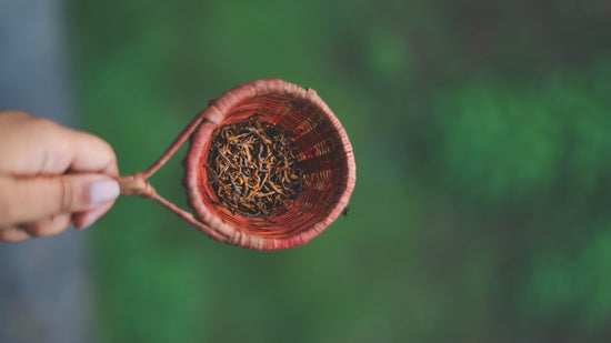 What is Nepali Chiya? – Nepal Tea