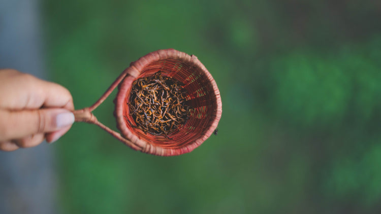 What is Nepali Chiya? – Nepal Tea