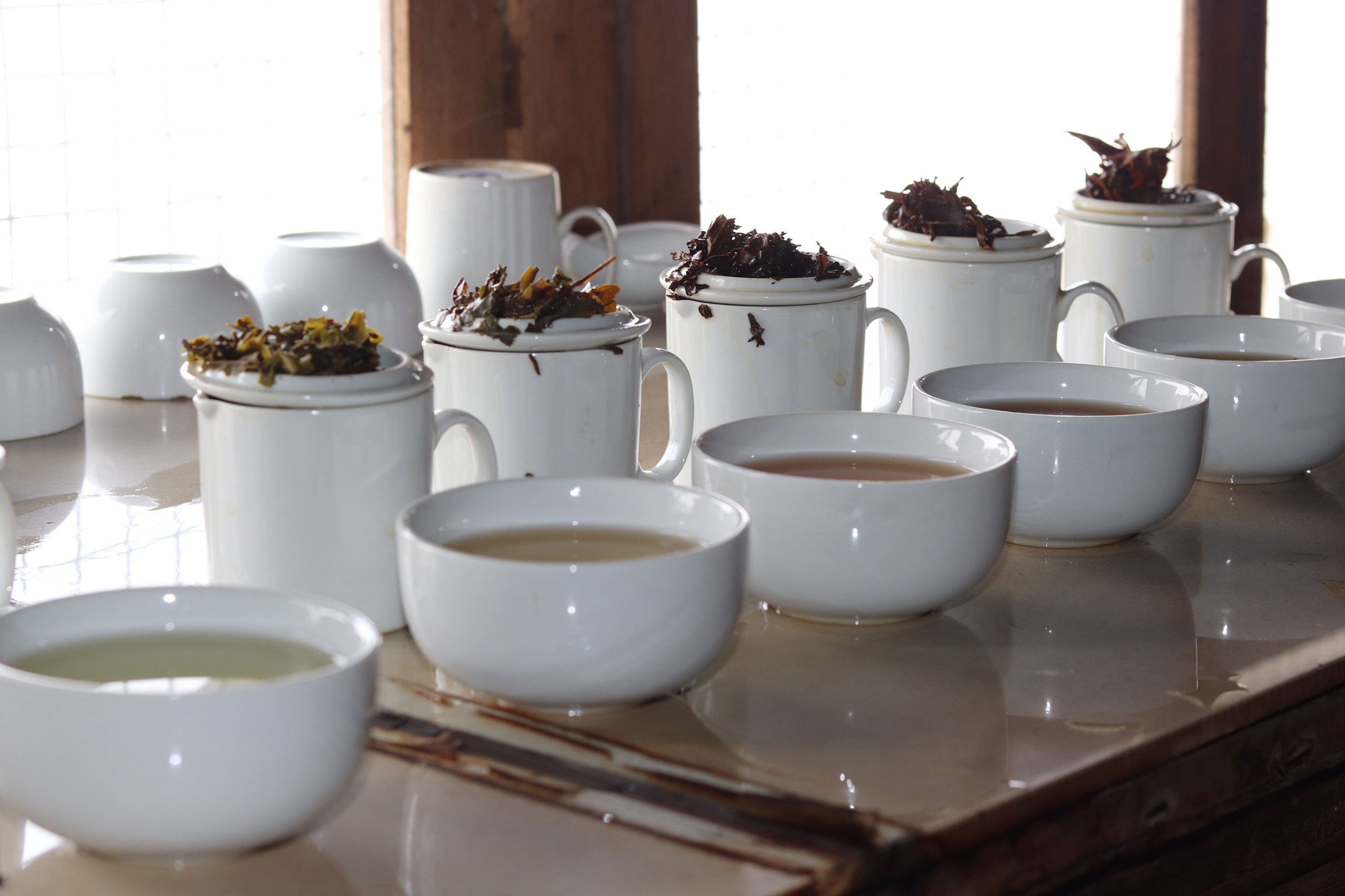 Why Tea Caffeine is Better Than Coffee: Exploring the Benefits of Tea ...