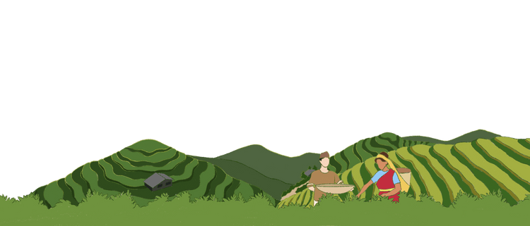 Foldable strainer – Nepal Tea