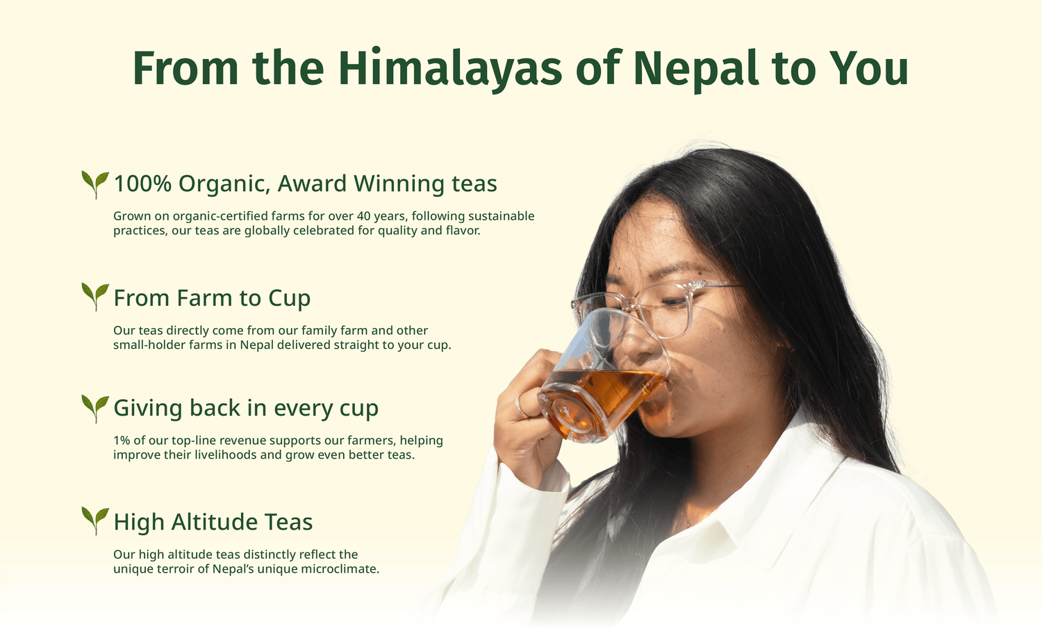 Nepal Tea - Organic Loose Leaf Teas - Distinct from Darjeeling Tea