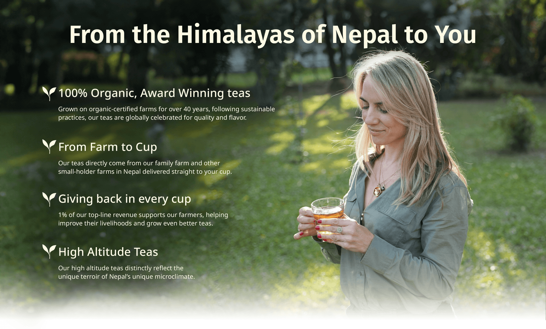 Nepal Tea - Organic Loose Leaf Teas - Distinct from Darjeeling Tea